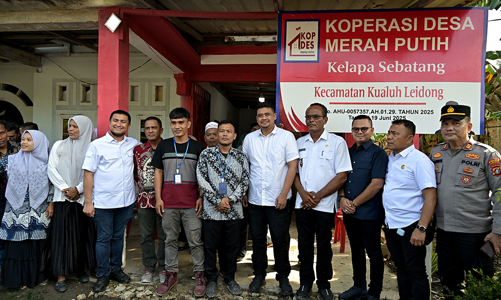 Jalankan Model Bisnis Pengepul Kelapa Sawit, Bobby Nasution Nilai ...